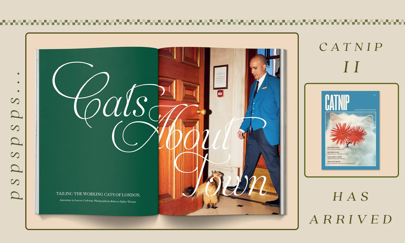 Pspsps- Catnip Magazine Volume II is here! | Gift Shop inventory News ...